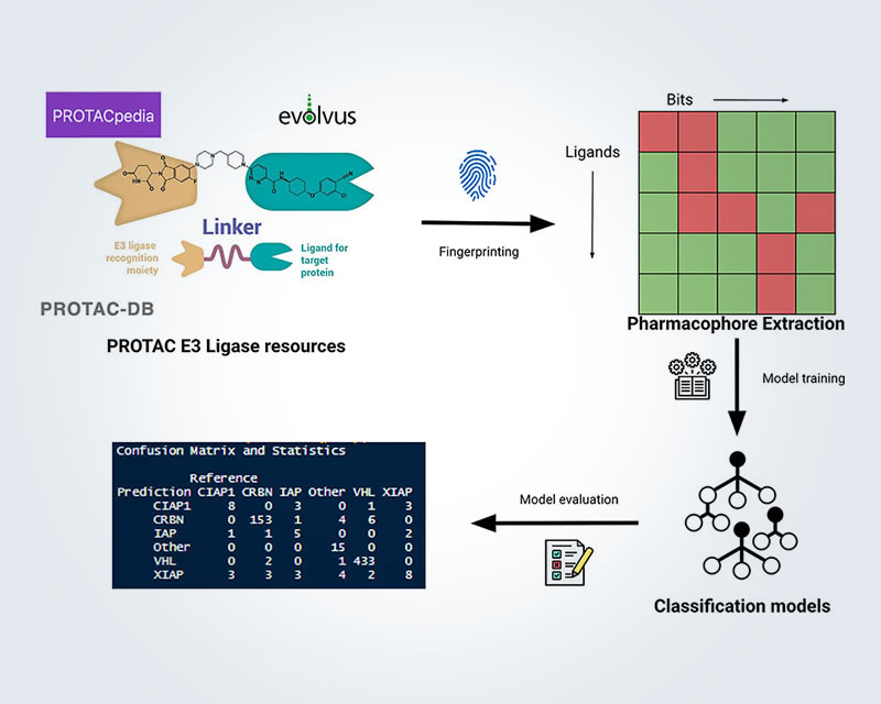 EU-OPENSCREEN: New publication on "Pharmacophore-Based Machine Learning ...