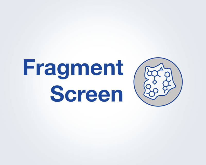 EU-OPENSCREEN: Acceleration of fragment-based drug discovery through AI and language models